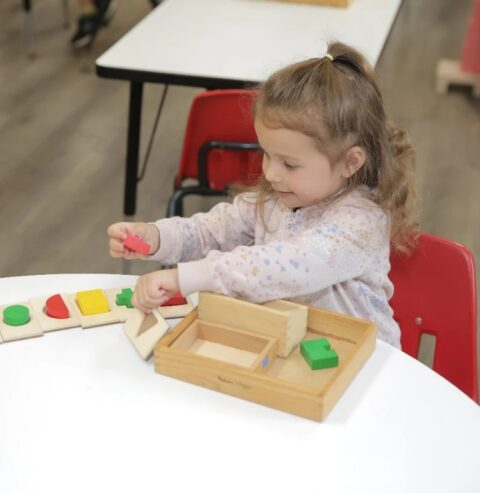 Sensorial Development - Preschool in Maryland | Norbeck Montessori